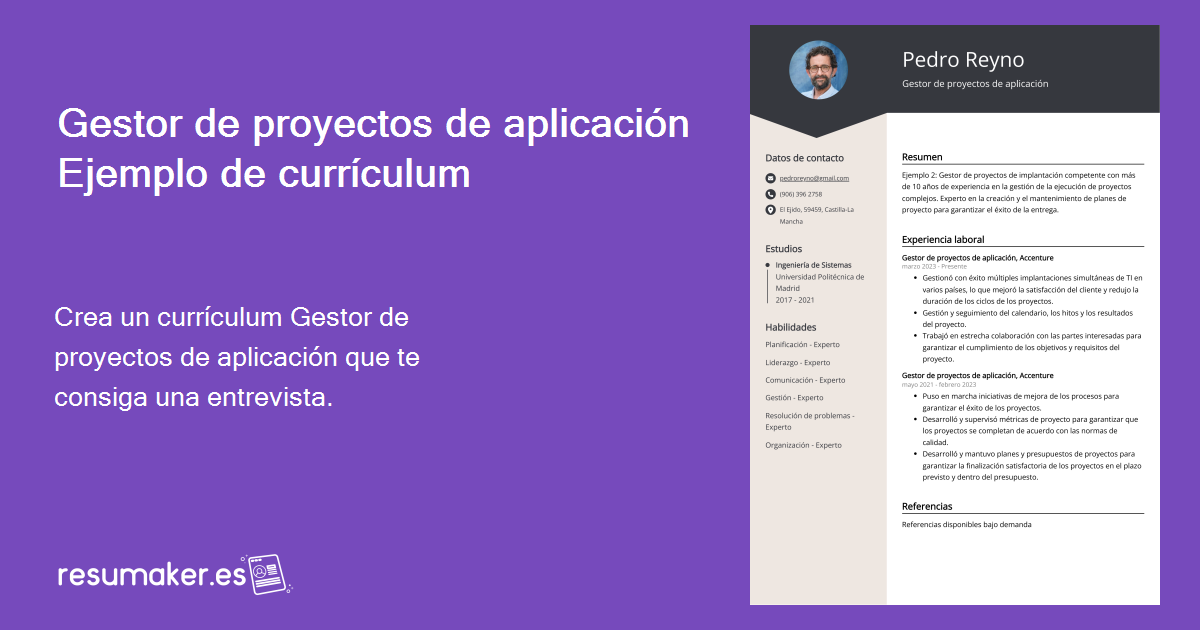 Curriculum Vitae Gestor de proyectos de aplicación: Ejemplo y Guía ...